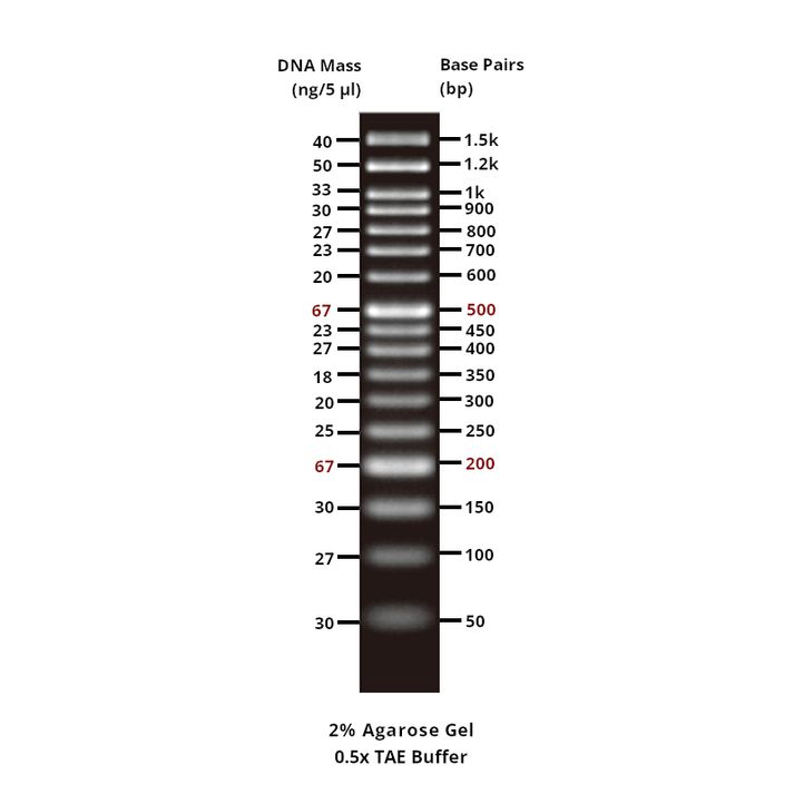PureView™ 50 bp DNA Ladder