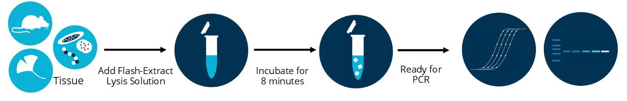 Flash-Extract™ Lysis Solution